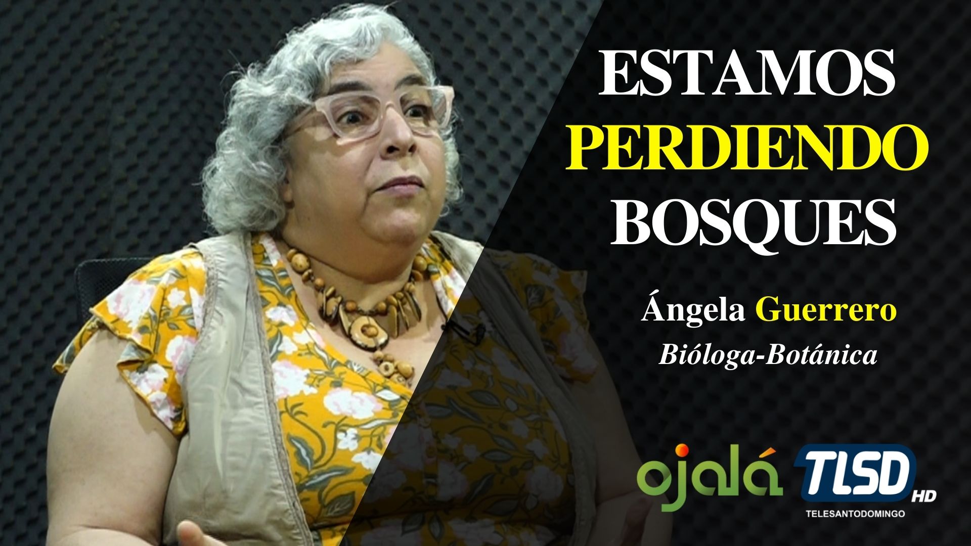 |Ojalá Medio Ambiente| Bióloga Ángela Guerrero aborda problemas medio ambiente RD - Ojalá