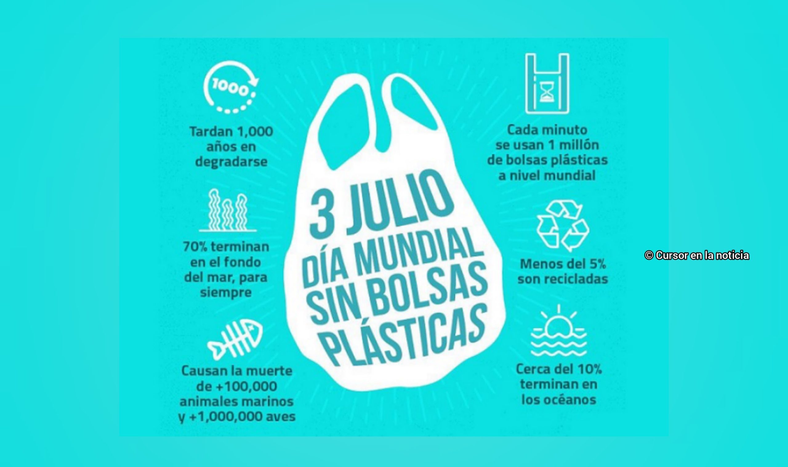 3 de julio: Día Internacional Libre de Bolsas de Plástico - Ojalá