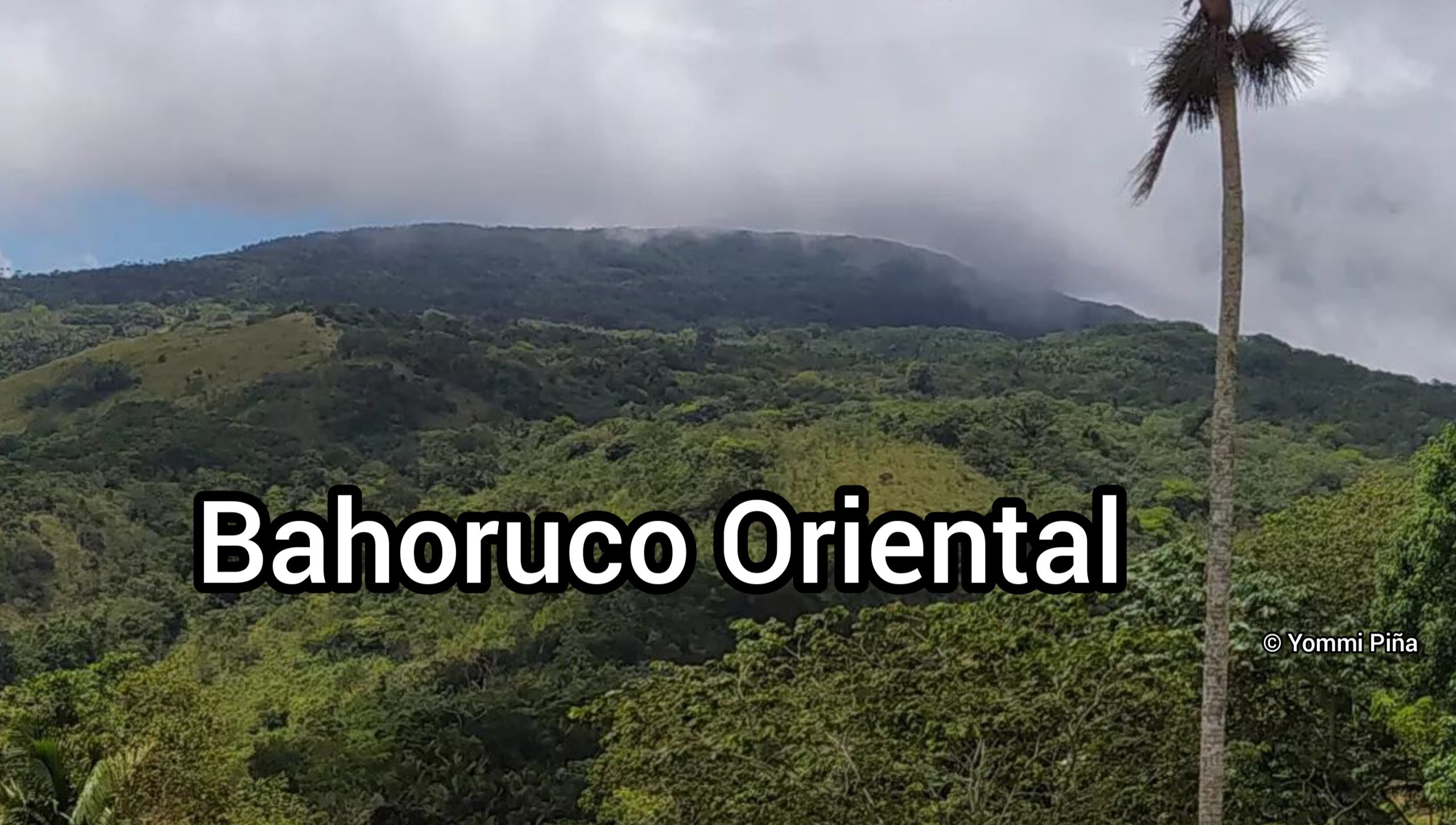 La riqueza del Bahoruco Oriental - Ojalá