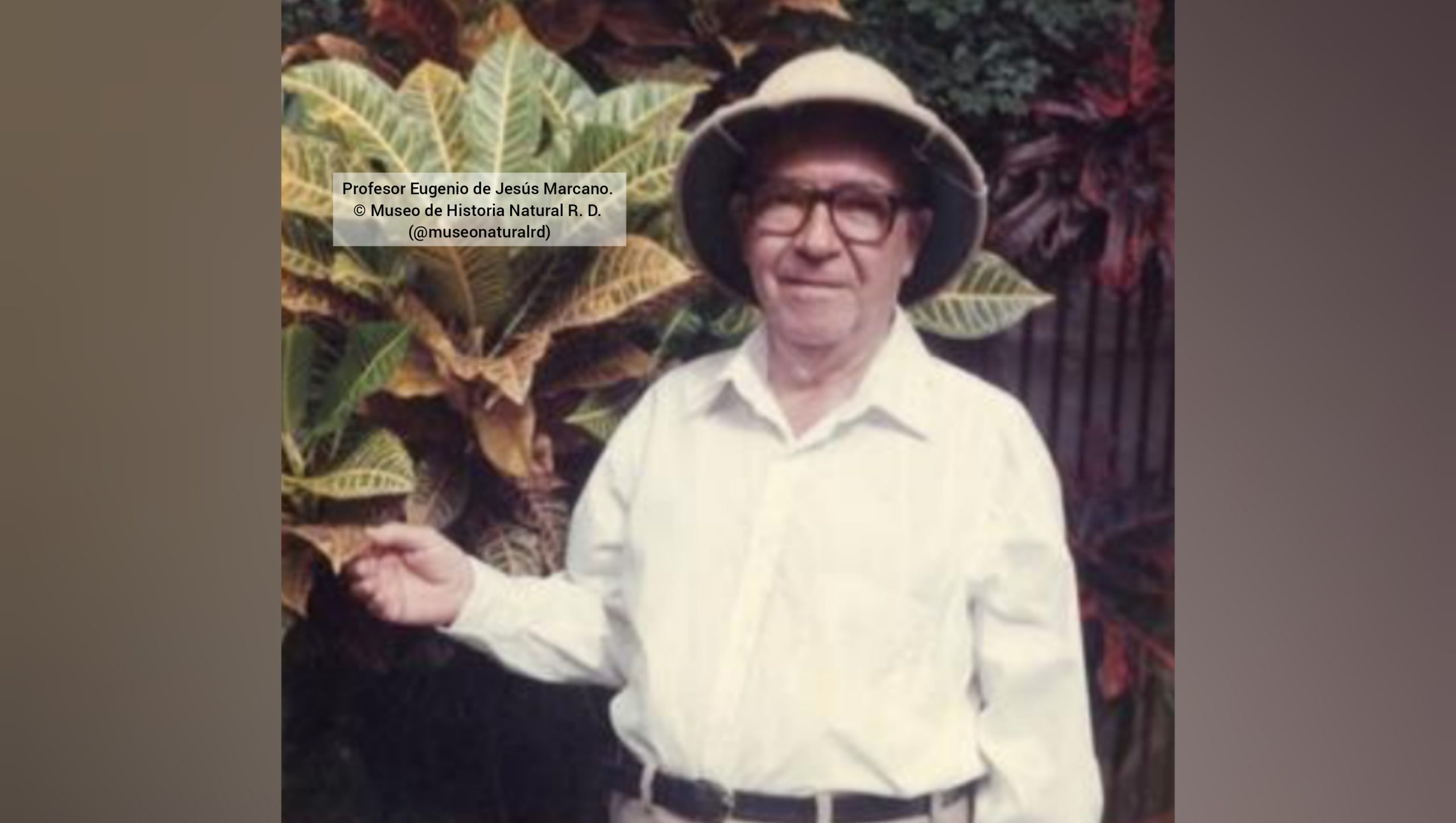 El humor de mi querido profesor Marcano - Ojalá