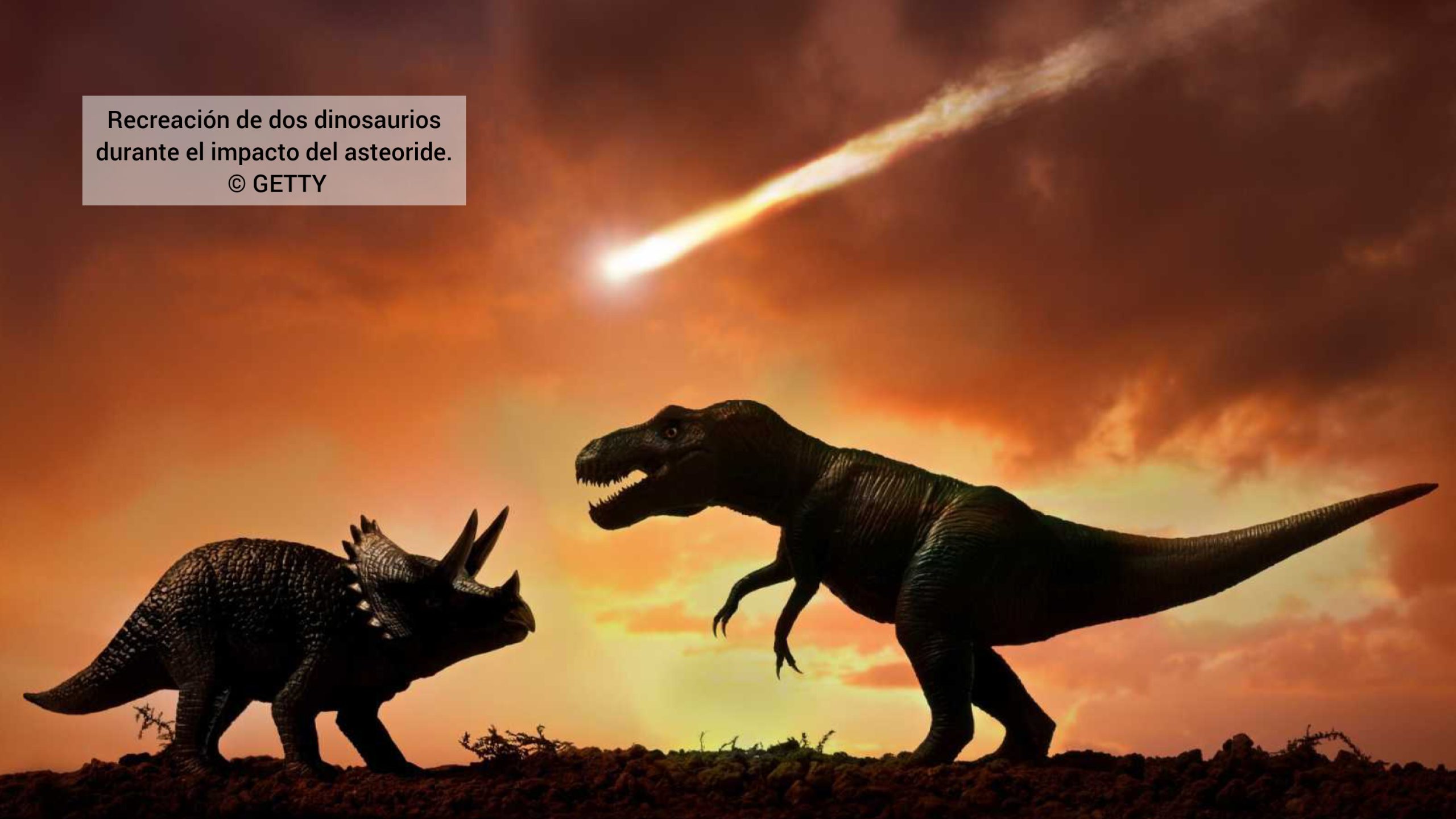 El asteroide que extinguió a los dinosaurios provocó un gran tsunami que arrasó el fondo marino ...